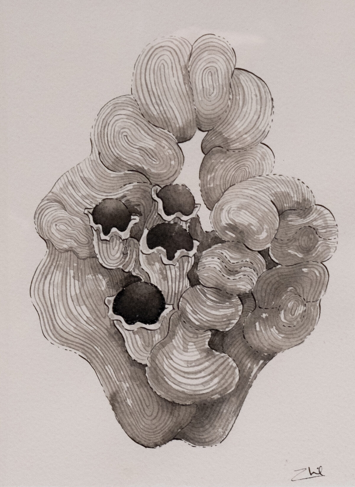 Zoé Moineaud I Joseph Rottenbacher - Karine Jousse